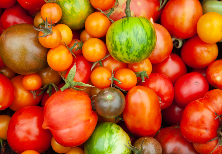 3 Ways to Enjoy Summer Tomatoes - TC.Farm - Fine Food Sustainably Raised